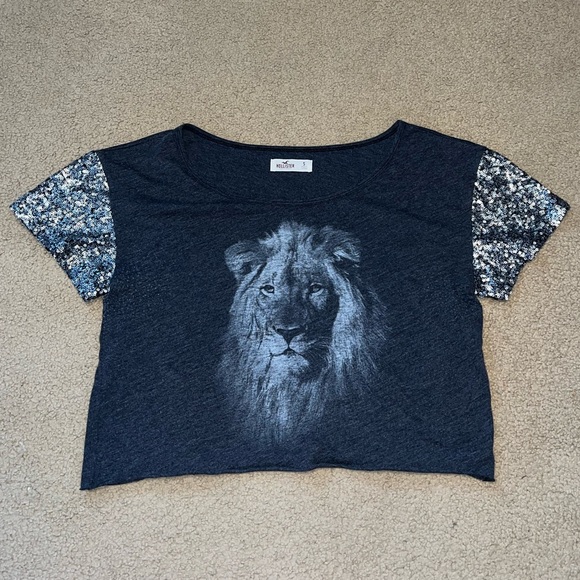 Hollister | Tops | Lion Crop Top With Sequin Short Sleeves | Poshmark
